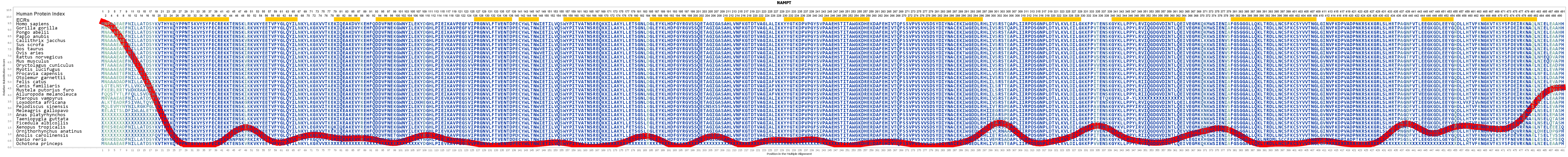 NAMPT Gene - GeneCards | NAMPT Protein | NAMPT Antibody