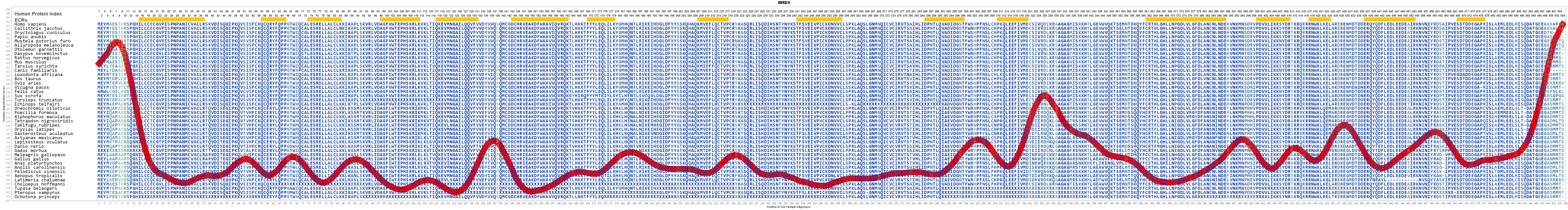 NMD3 Gene - GeneCards | NMD3 Protein | NMD3 Antibody