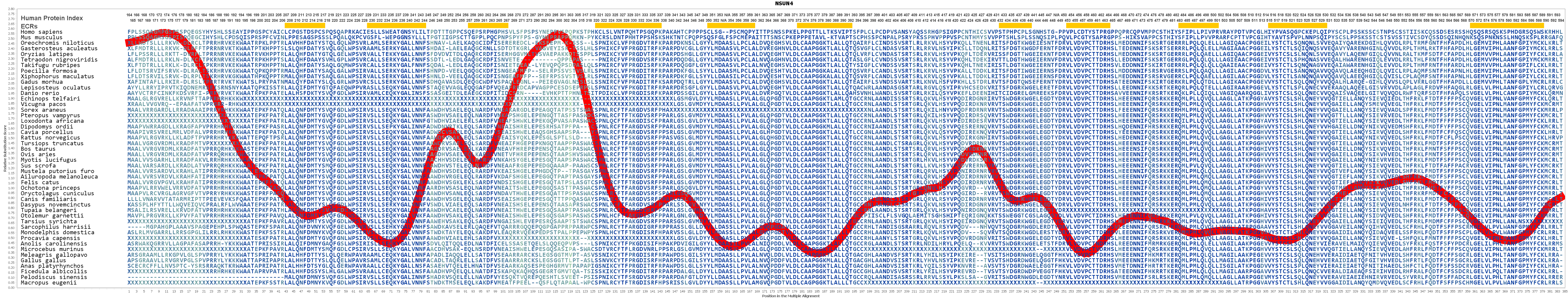 NSUN4 Gene - GeneCards | NSUN4 Protein | NSUN4 Antibody