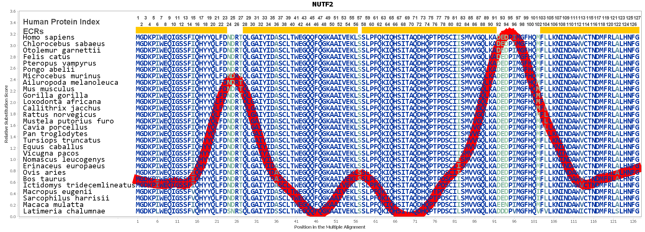 NUTF2 Gene - GeneCards | NTF2 Protein | NTF2 Antibody