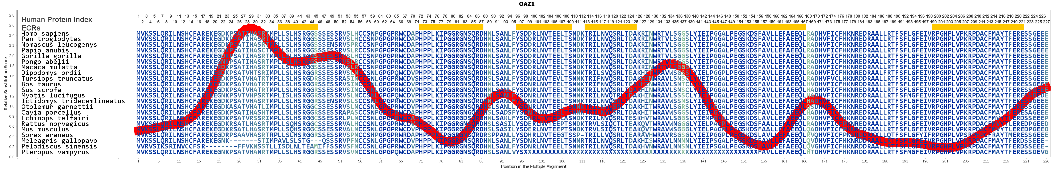 OAZ1 Gene - GeneCards | OAZ1 Protein | OAZ1 Antibody