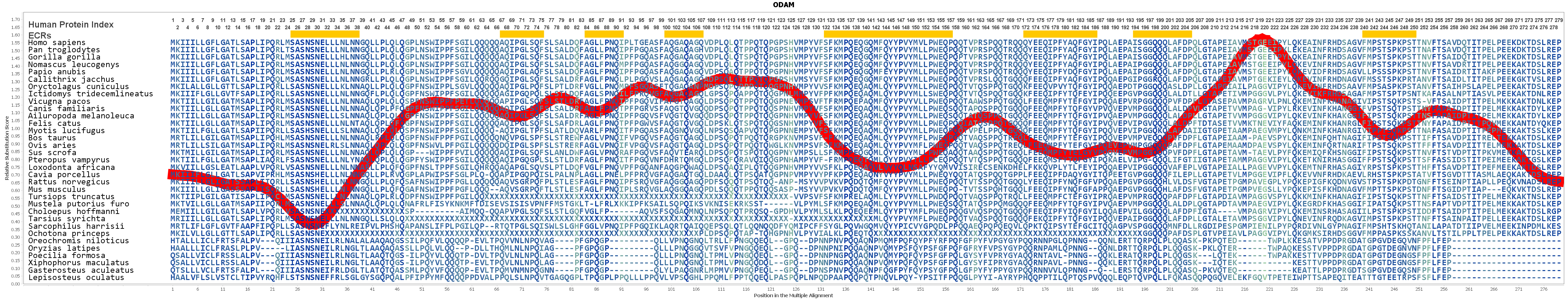 ODAM Gene - GeneCards | ODAM Protein | ODAM Antibody