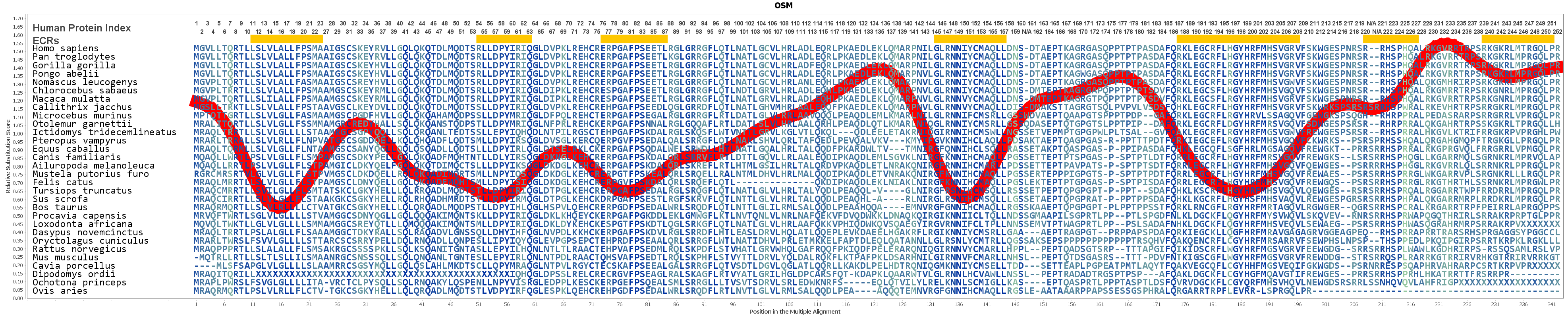 OSM Gene - GeneCards | ONCM Protein | ONCM Antibody
