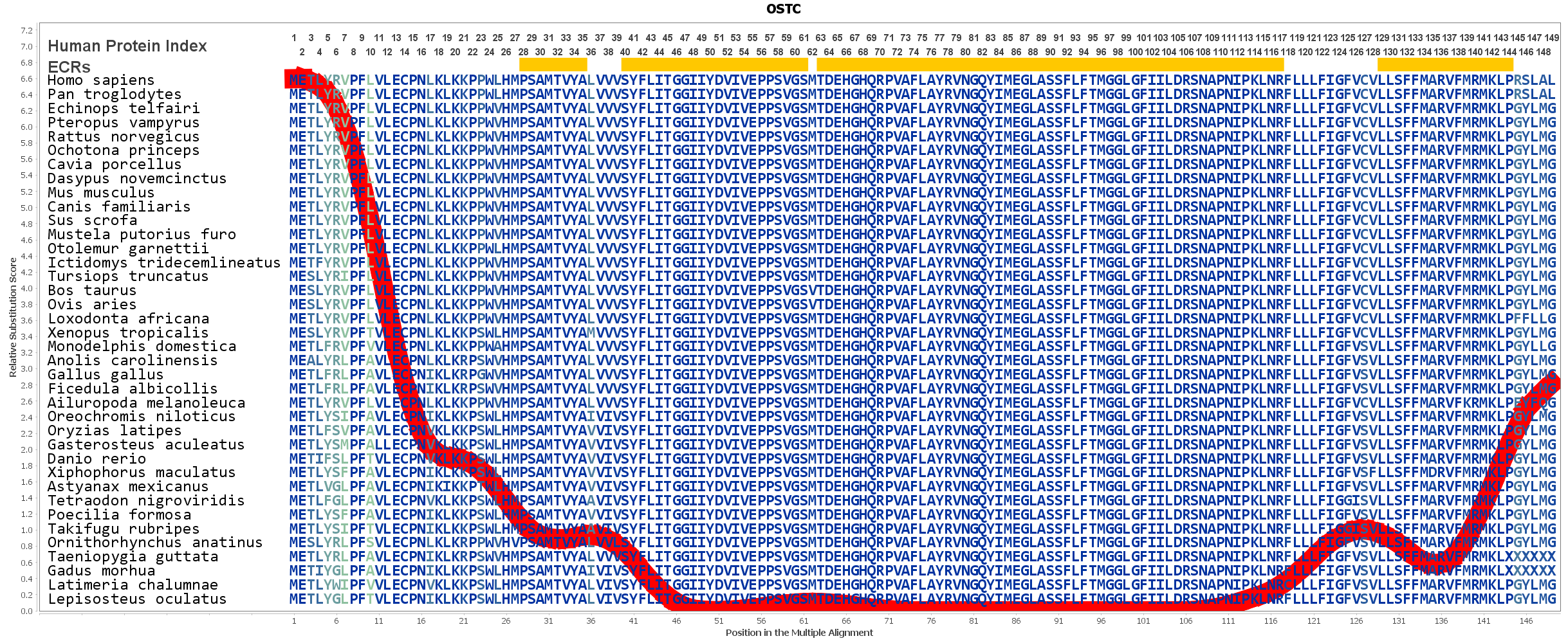 OSTC Gene - GeneCards | OSTC Protein | OSTC Antibody