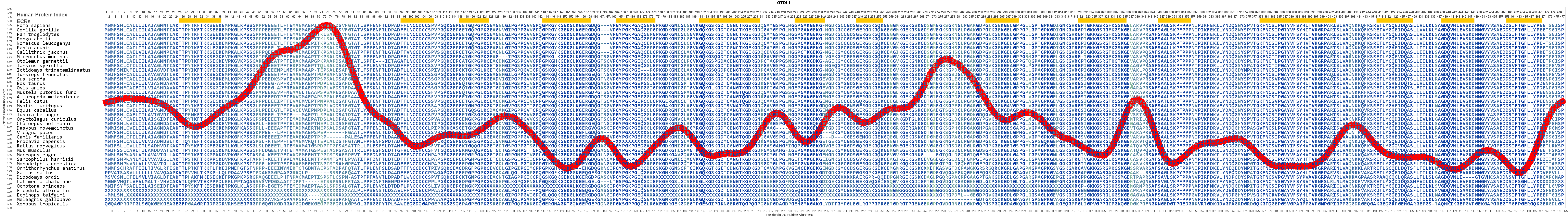 OTOL1 Gene - GeneCards | OTOL1 Protein | OTOL1 Antibody