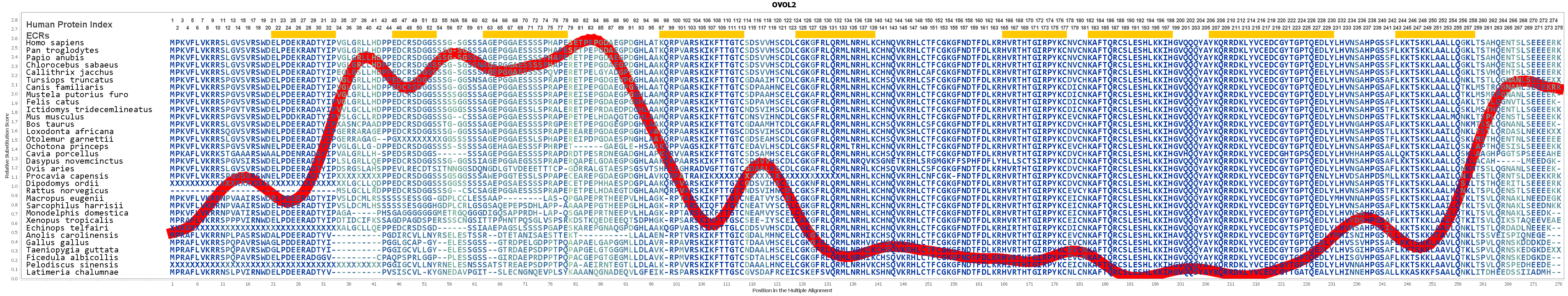 OVOL2 Gene - GeneCards | OVOL2 Protein | OVOL2 Antibody