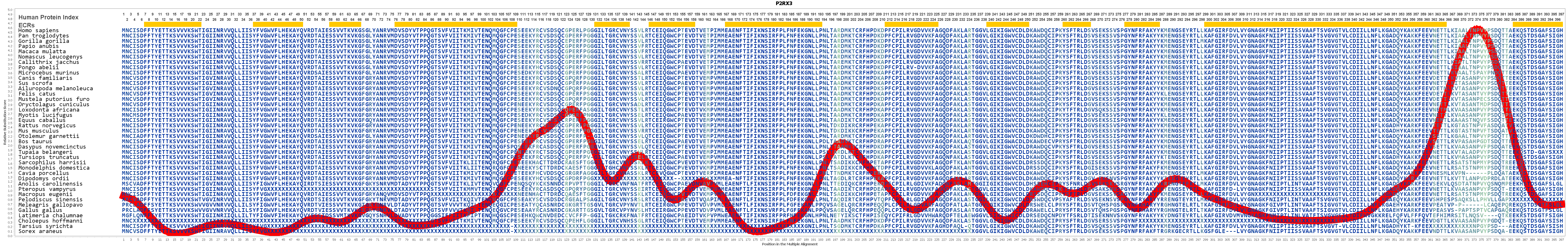 P2RX3 Gene - GeneCards | P2RX3 Protein | P2RX3 Antibody