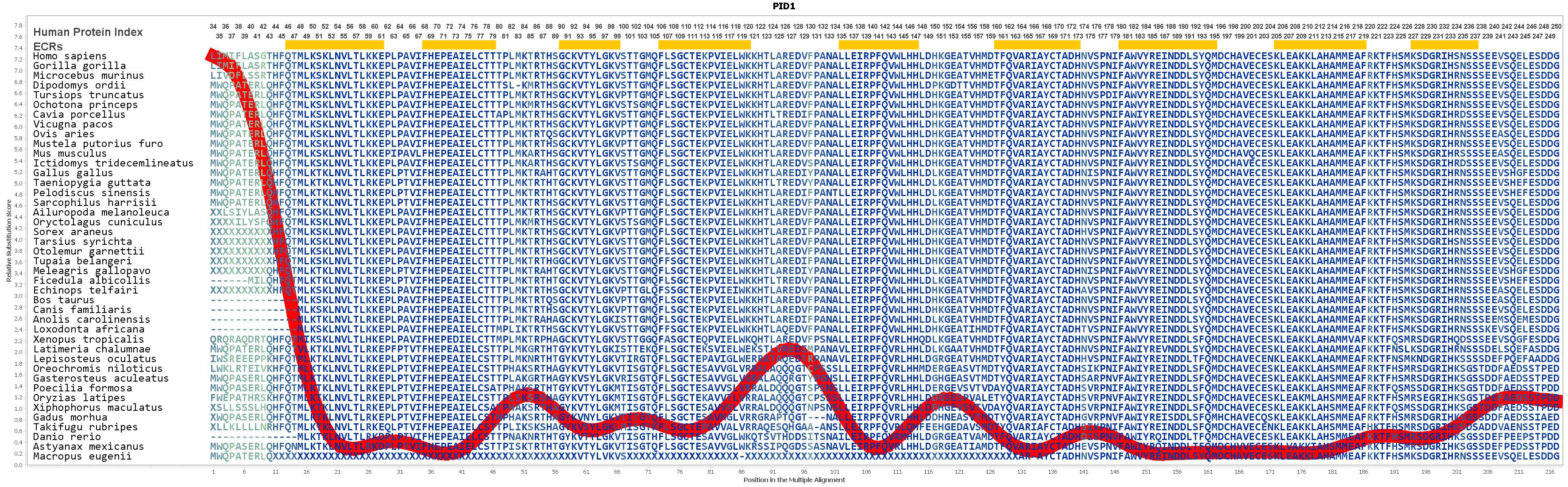 PID1 Gene - GeneCards | PCLI1 Protein | PCLI1 Antibody