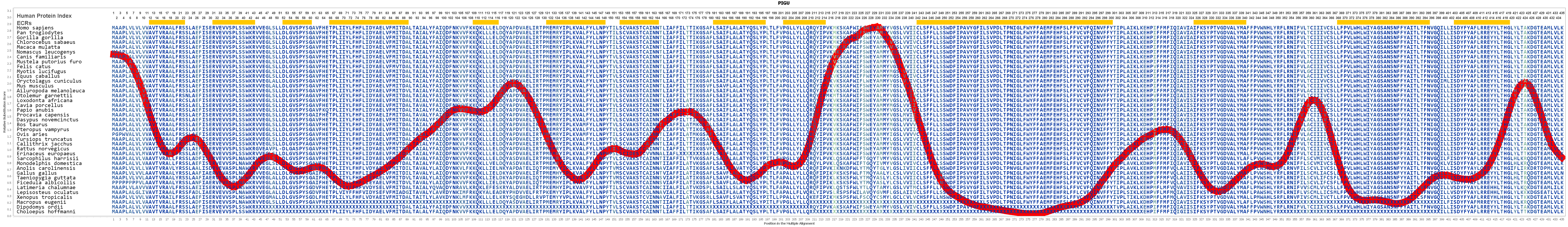PIGU Gene - GeneCards | PIGU Protein | PIGU Antibody