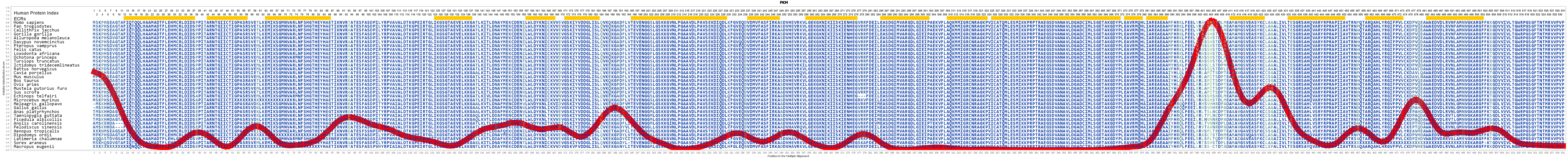 PKM Gene - GeneCards | KPYM Protein | KPYM Antibody