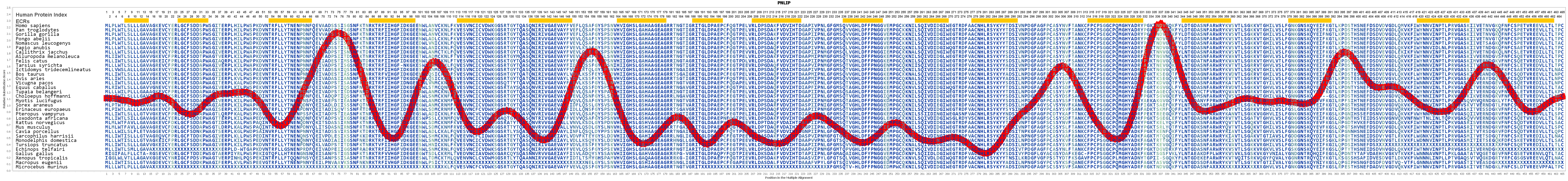 PNLIP Gene - GeneCards | LIPP Protein | LIPP Antibody