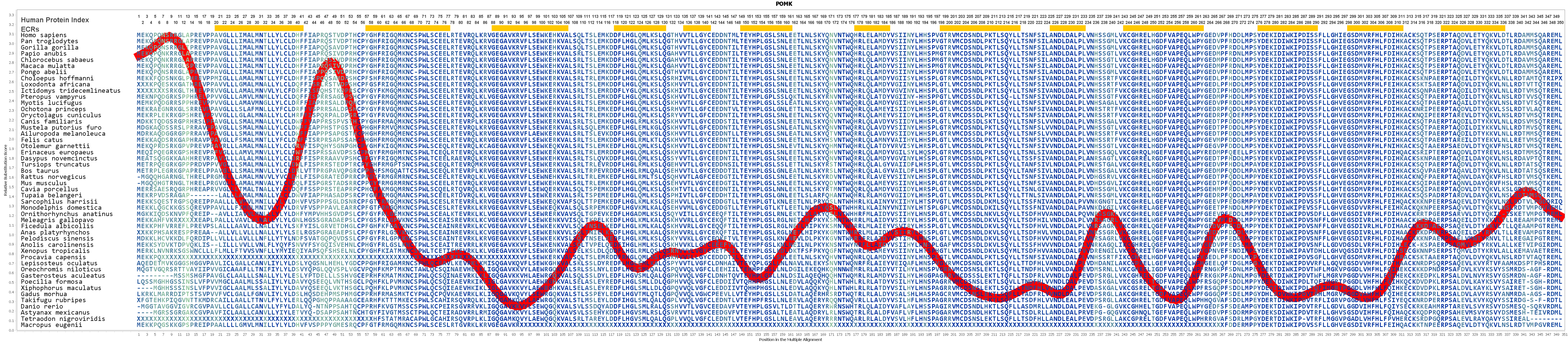 POMK Gene - GeneCards | SG196 Protein | SG196 Antibody
