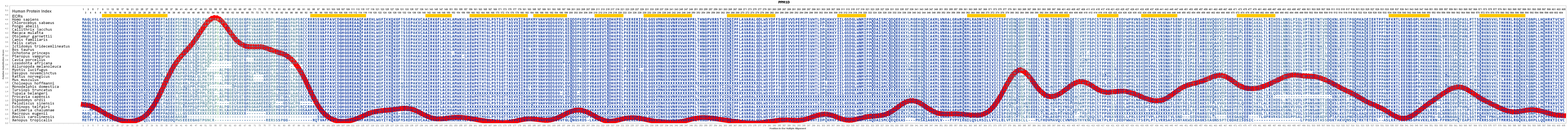 PPM1D Gene - GeneCards | PPM1D Protein | PPM1D Antibody