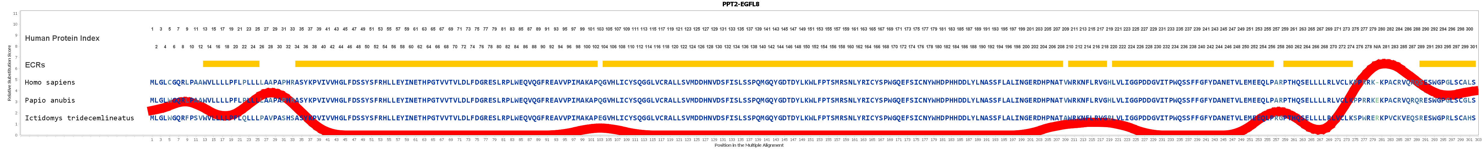 PPT2-EGFL8 Gene - GeneCards | PPT2-EGFL8 RNA Gene