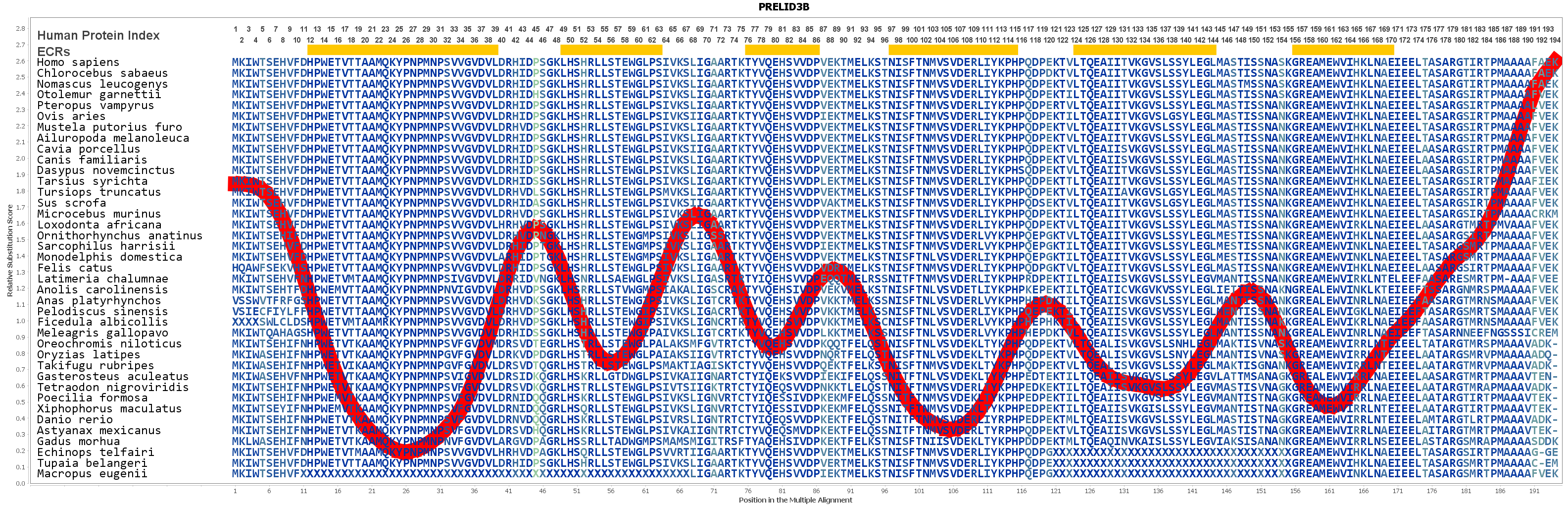 PRELID3B Gene - GeneCards | PLD3B Protein | PLD3B Antibody