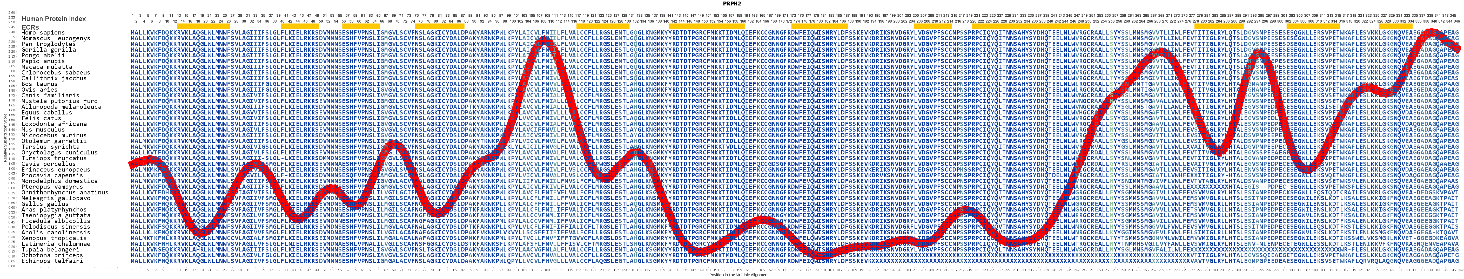 PRPH2 Gene - GeneCards | PRPH2 Protein | PRPH2 Antibody