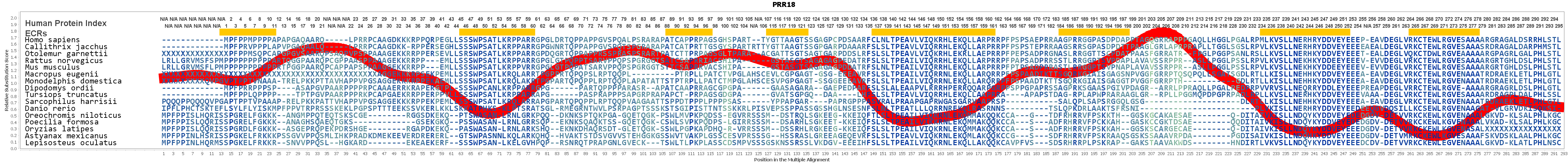 PRR18 Gene - GeneCards | PRR18 Protein | PRR18 Antibody