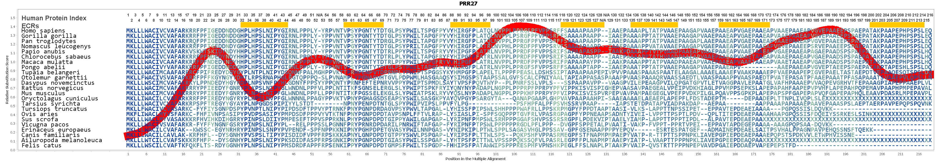 PRR27 Gene - GeneCards | PRR27 Protein | PRR27 Antibody