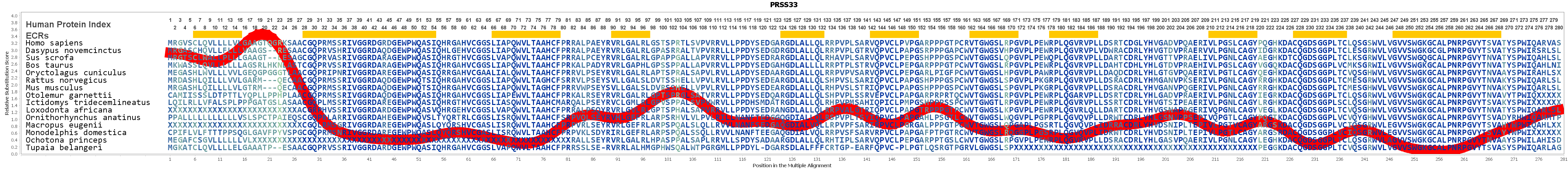 PRSS33 Gene - GeneCards | PRS33 Protein | PRS33 Antibody