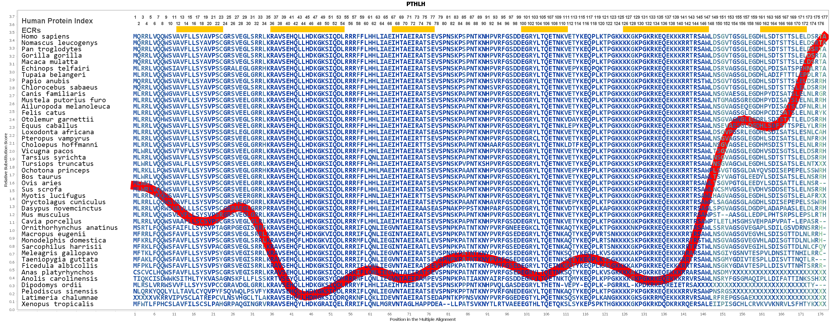PTHLH Gene - GeneCards | PTHR Protein | PTHR Antibody