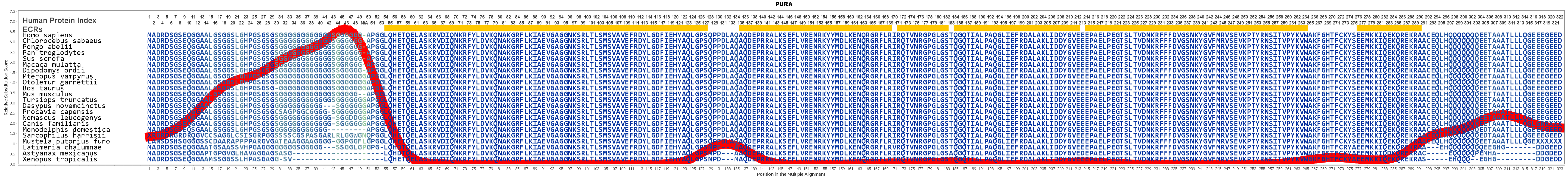 PURA Gene - GeneCards | PURA Protein | PURA Antibody