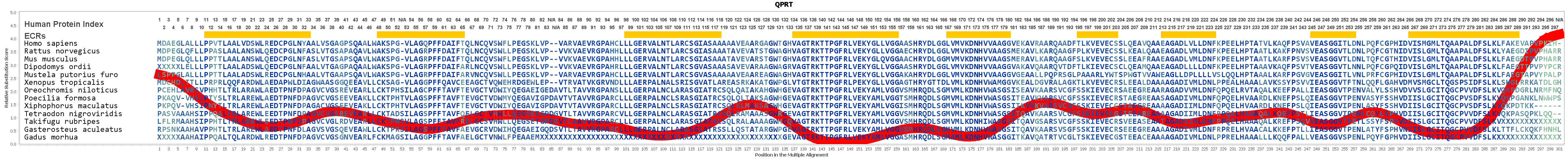 QPRT Gene - GeneCards | NADC Protein | NADC Antibody