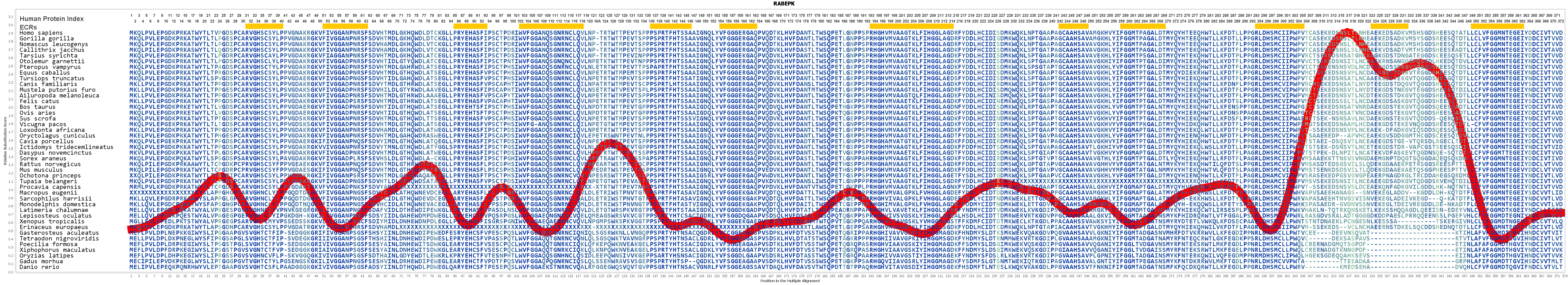 RABEPK Gene - GeneCards | RABEK Protein | RABEK Antibody