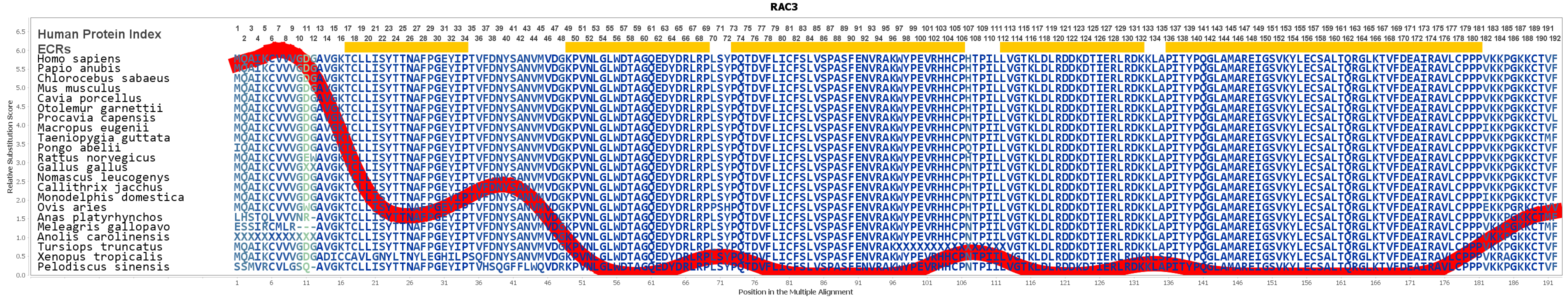 RAC3 Gene - GeneCards | RAC3 Protein | RAC3 Antibody