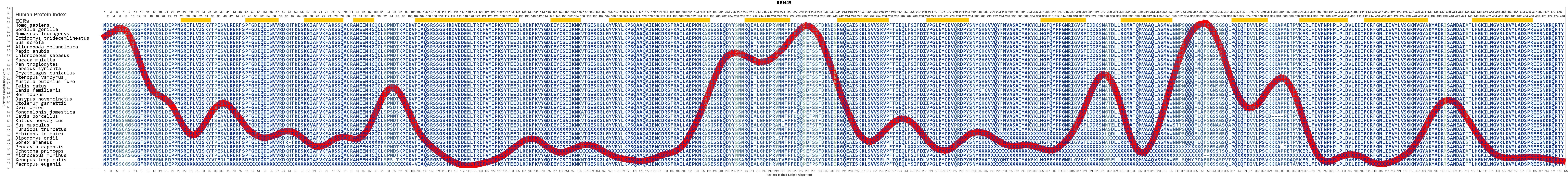 RBM45 Gene - GeneCards | RBM45 Protein | RBM45 Antibody