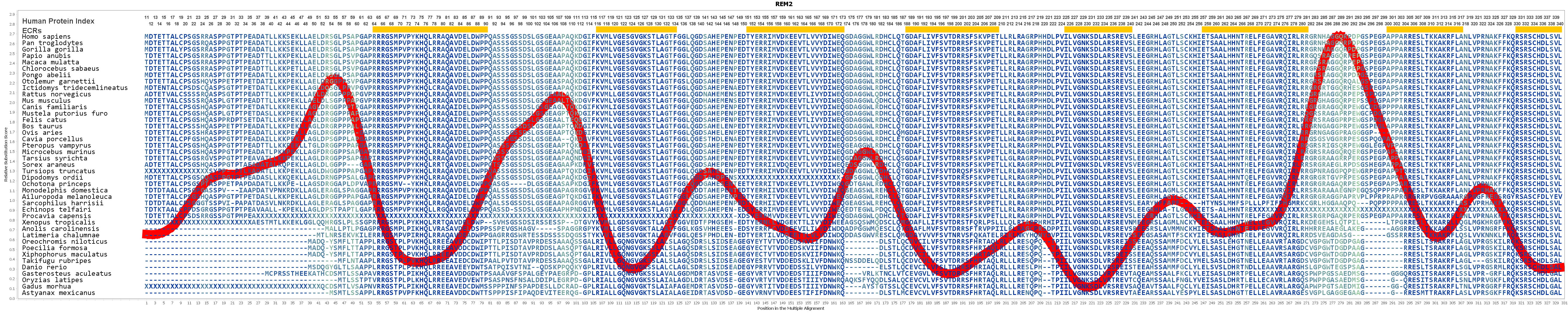 REM2 Gene - GeneCards | REM2 Protein | REM2 Antibody