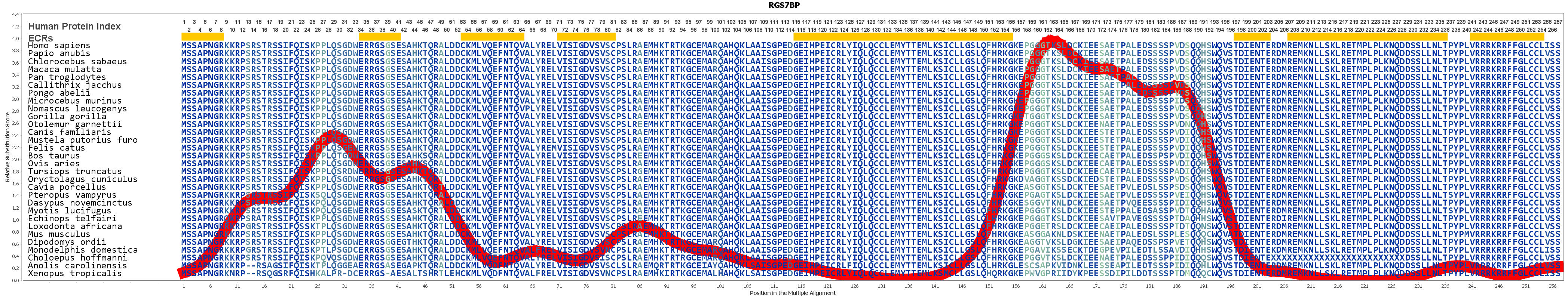 RGS7BP Gene - GeneCards | R7BP Protein | R7BP Antibody