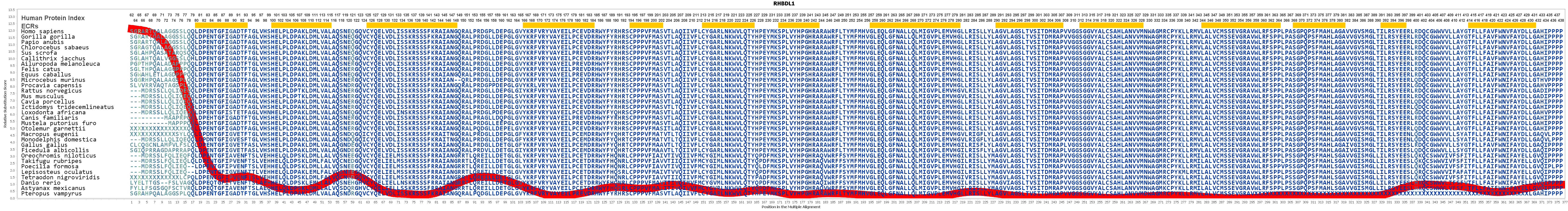 RHBDL1 Gene - GeneCards | RHBL1 Protein | RHBL1 Antibody