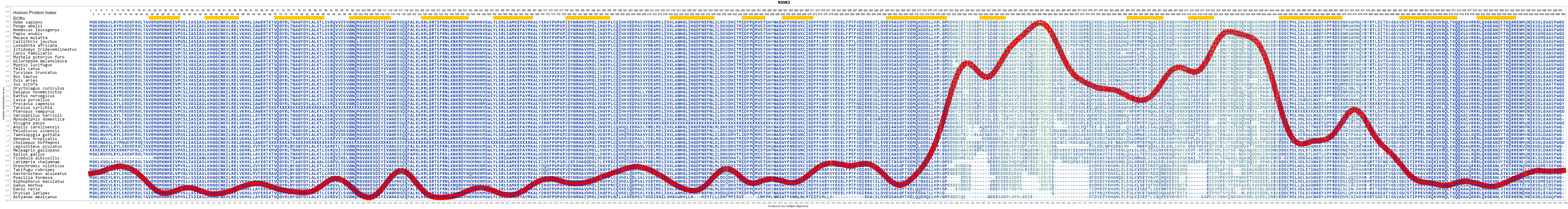 RIOK2 Gene - GeneCards | RIOK2 Protein | RIOK2 Antibody
