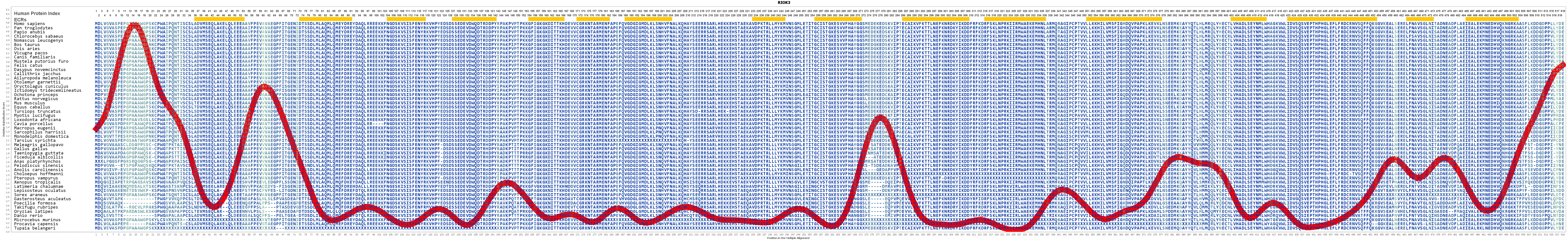 RIOK3 Gene - GeneCards | RIOK3 Protein | RIOK3 Antibody