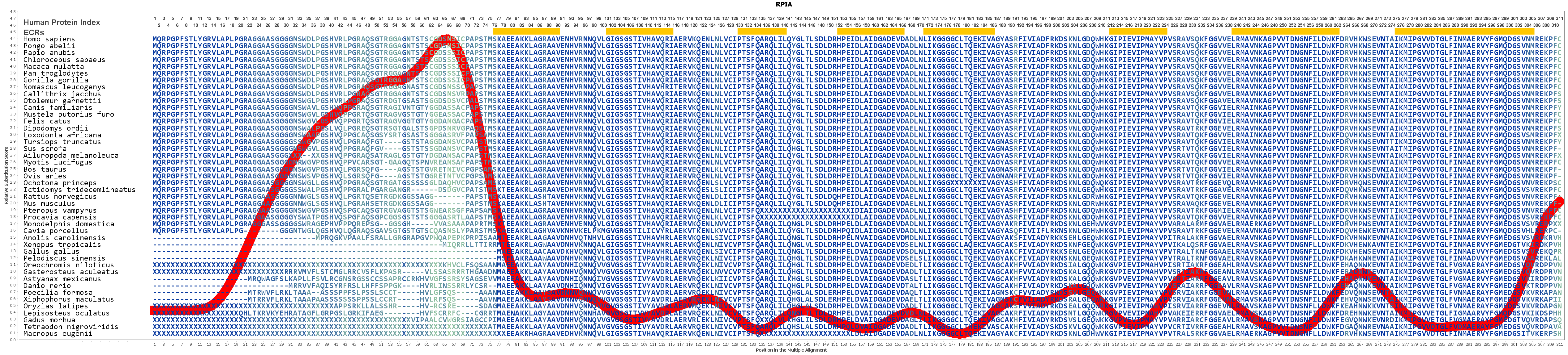 RPIA Gene - GeneCards | RPIA Protein | RPIA Antibody