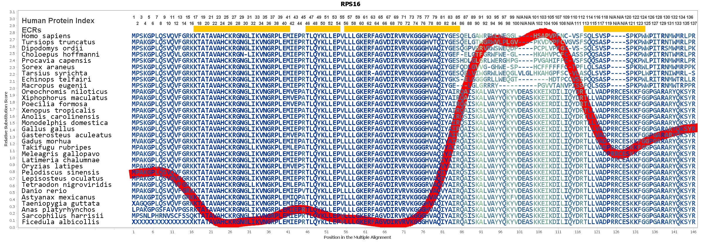 RPS16 Gene - GeneCards | RS16 Protein | RS16 Antibody