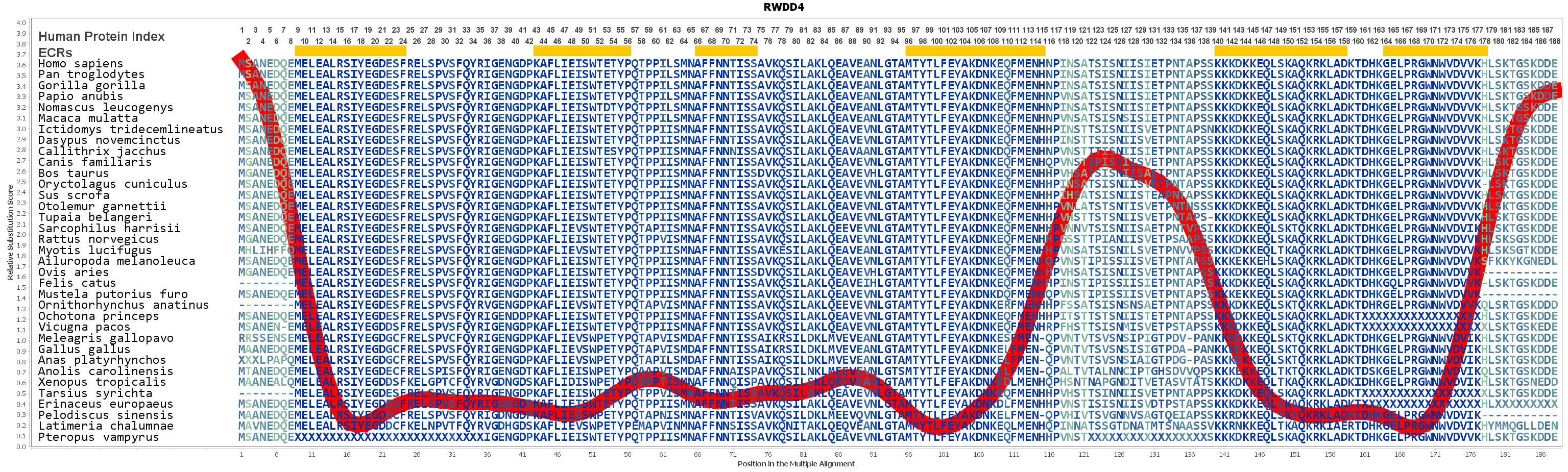 RWDD4 Gene - GeneCards | RWDD4 Protein | RWDD4 Antibody