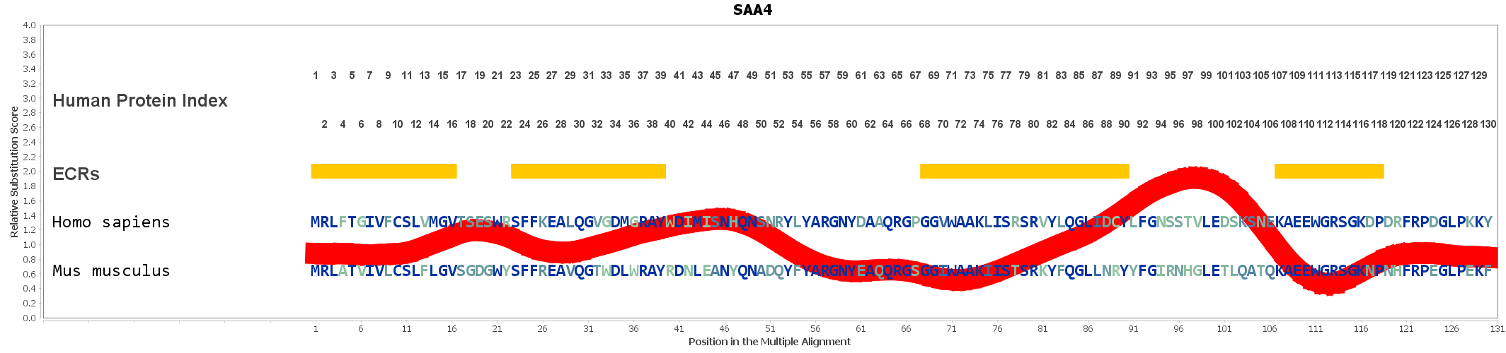 SAA4 Gene - GeneCards | SAA4 Protein | SAA4 Antibody