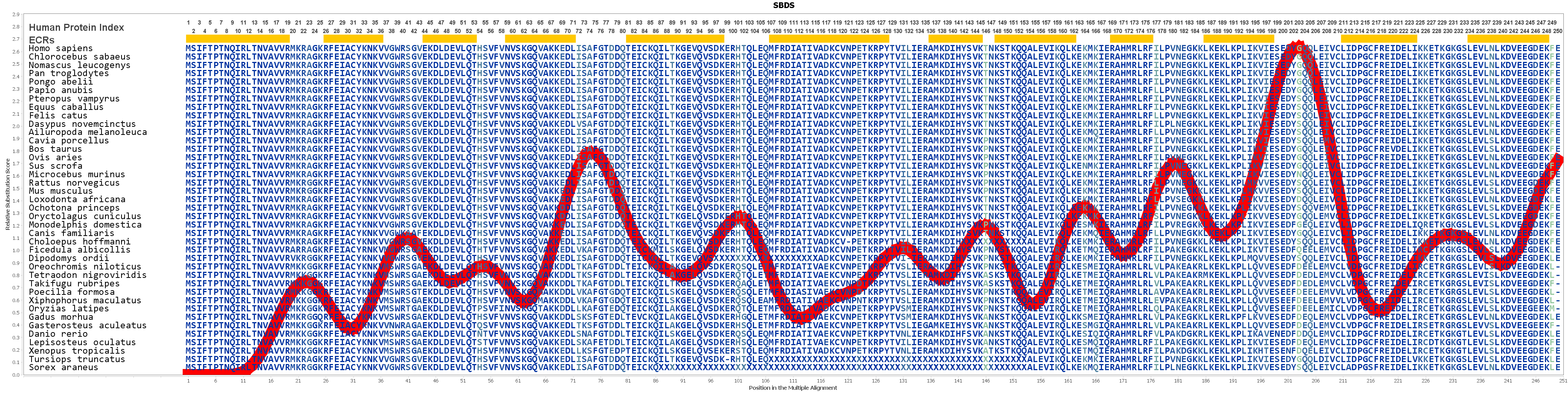 SBDS Gene - GeneCards | SBDS Protein | SBDS Antibody