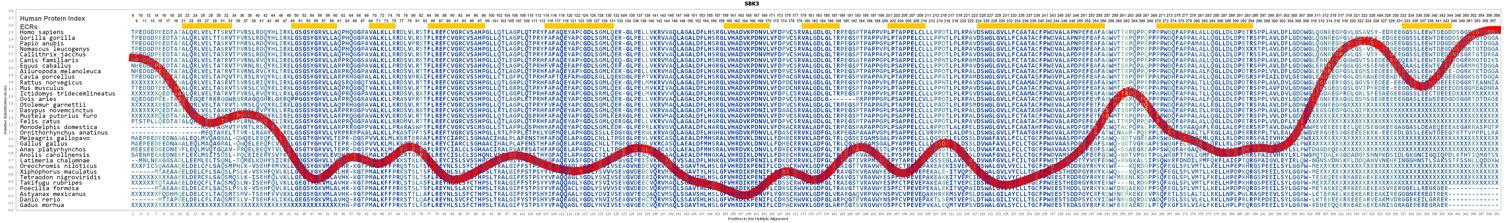 SBK3 Gene - GeneCards | SBK3 Protein | SBK3 Antibody