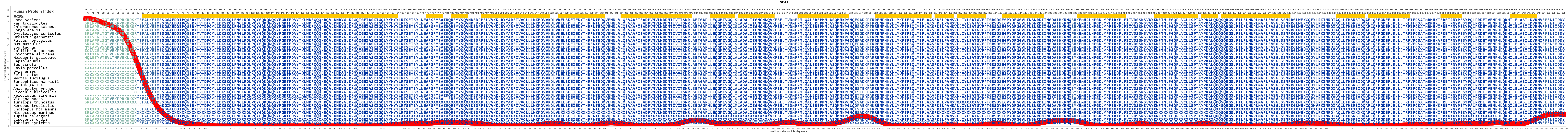 SCAI Gene - GeneCards | SCAI Protein | SCAI Antibody