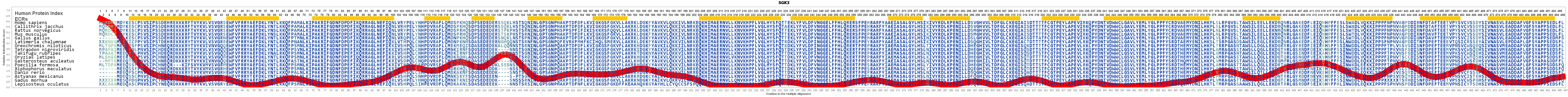 SGK3 Gene - GeneCards | SGK3 Protein | SGK3 Antibody