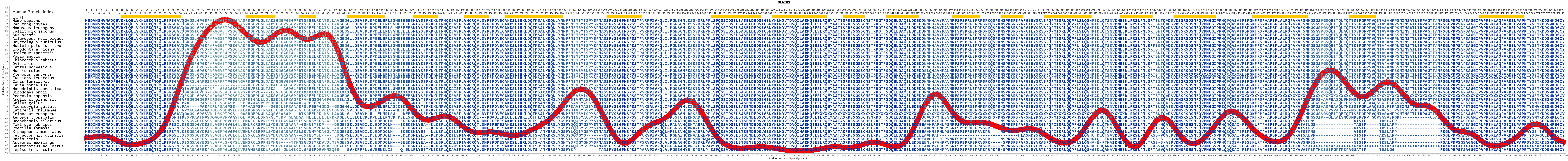 SLAIN2 Gene - GeneCards | SLAI2 Protein | SLAI2 Antibody