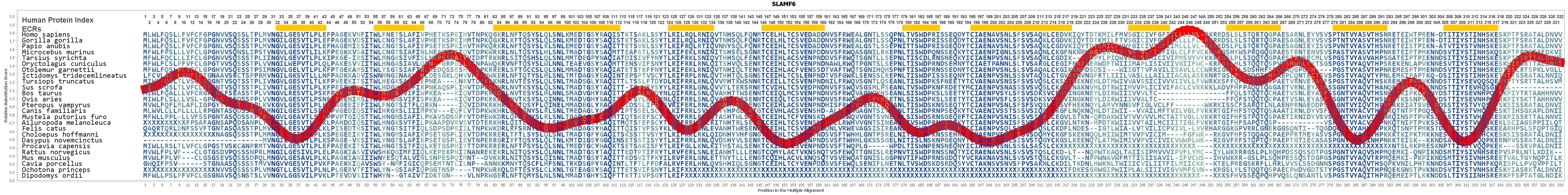 SLAMF6 Gene - GeneCards | SLAF6 Protein | SLAF6 Antibody