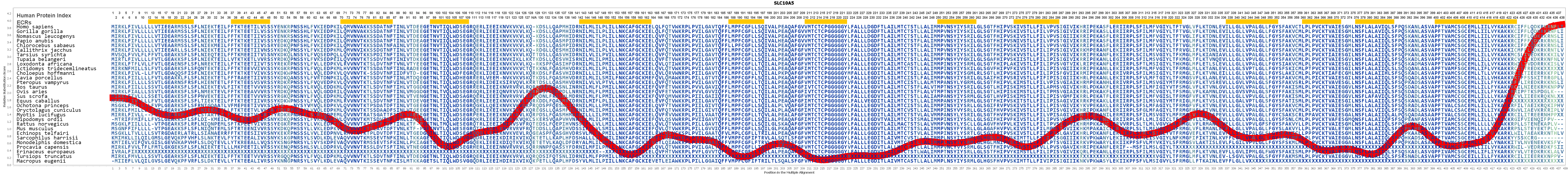 SLC10A5 Gene - GeneCards | NTCP5 Protein | NTCP5 Antibody