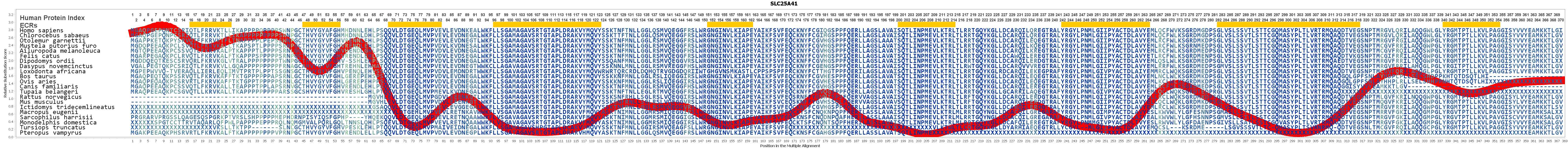 SLC25A41 Gene - GeneCards | S2541 Protein | S2541 Antibody
