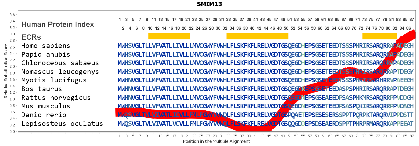 SMIM13 Gene - GeneCards | SIM13 Protein | SIM13 Antibody