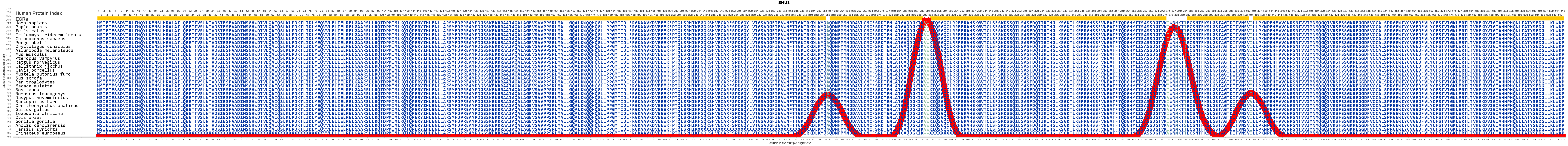 SMU1 Gene - GeneCards | SMU1 Protein | SMU1 Antibody