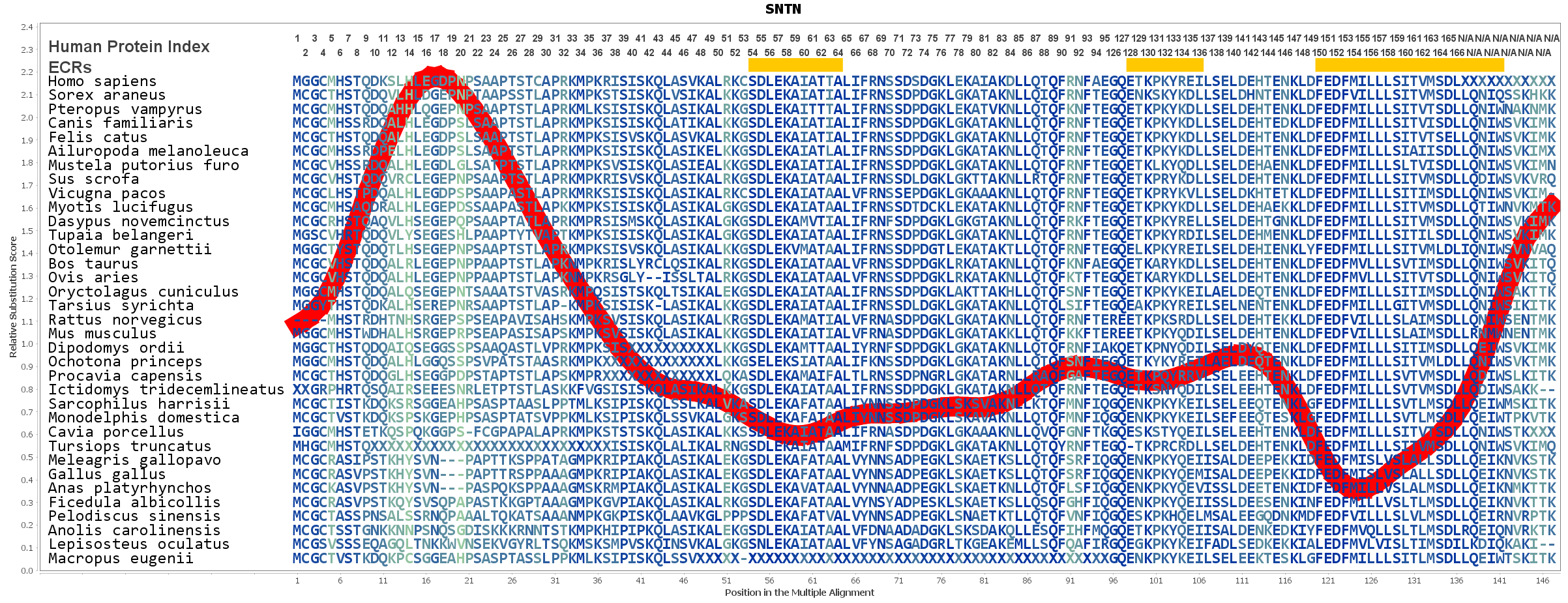 SNTN Gene - GeneCards | SNTAN Protein | SNTAN Antibody