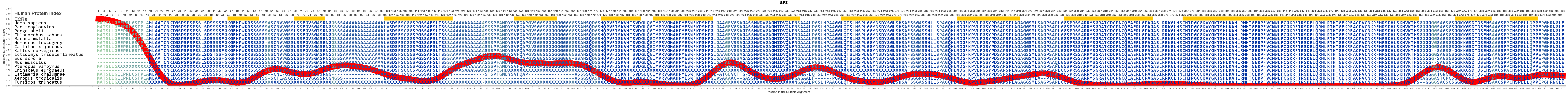 SP8 Gene - GeneCards | SP8 Protein | SP8 Antibody